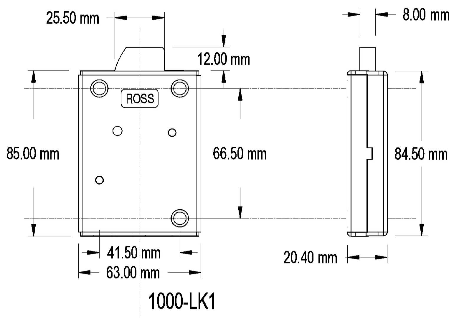 Swivel-Bolt Lock Options – K.J. Ross Security Locks